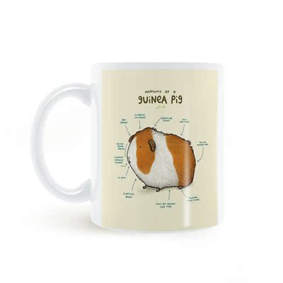 Anatomy of a Guinea Pig mug天竺鼠解剖马克杯