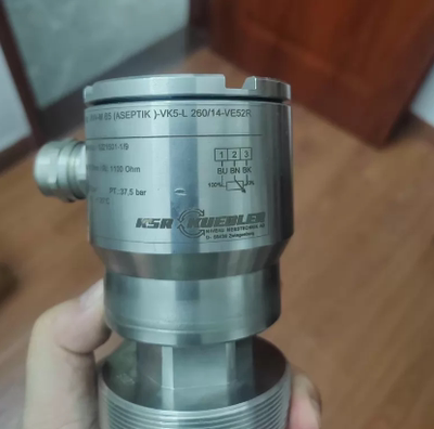 KSR-KUEBLER/液位计/AV4-M65(ASEPTIK)-VK5-L260/14-VE52R