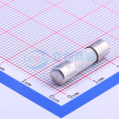 一次性保险丝 021606.3MXP D5xL20mm 原装正品 电子元器件配单
