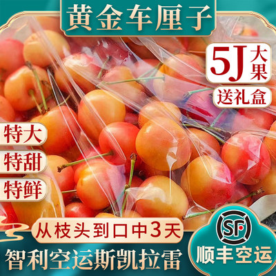 斯凯拉雷进口大果黄金车厘子