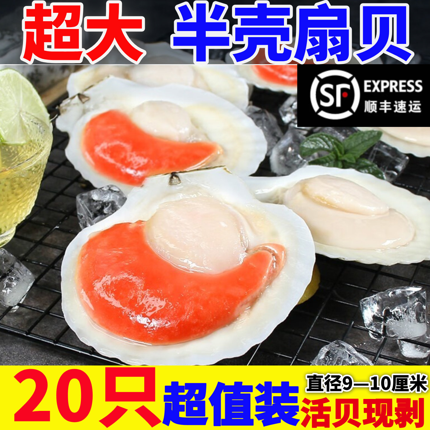 半壳贝超大夏夷贝虾夷元贝鲜活冷冻海鲜带壳粉丝蒜蓉烧烤商用扇贝