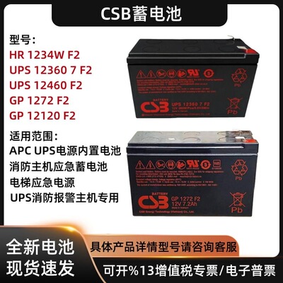 CSBUPS内置电池电梯消防主机
