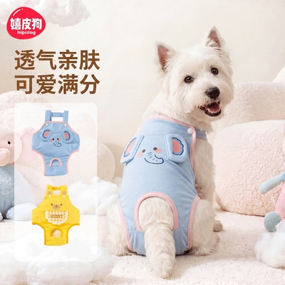 母狗狗生理裤姨妈期专用宠物姨妈裤月经卫生巾防交配裤小狗安全裤