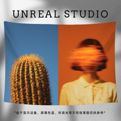 【仙人掌】挂布背景布装饰墙布抽象意识胶片美式复古风小挂毯卧室