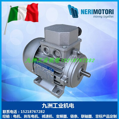 意大利NERI电机T637180B4132