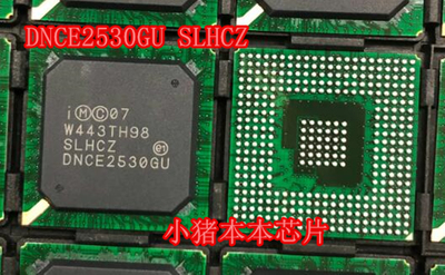 集成电路DNCE2530GUSLHCZ