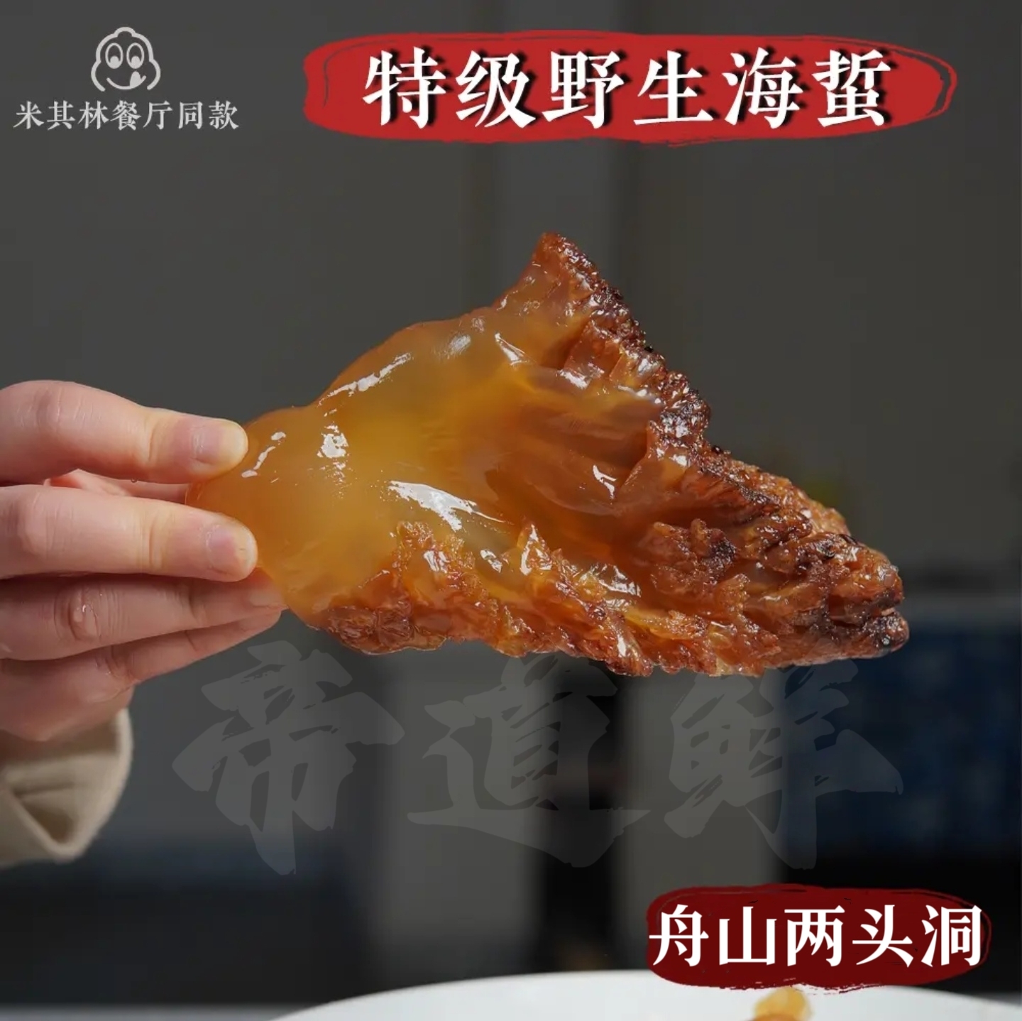 新鲜当季正宗舟山特大脆爽野生海蜇头凉拌菜桶装特级净重500g包邮