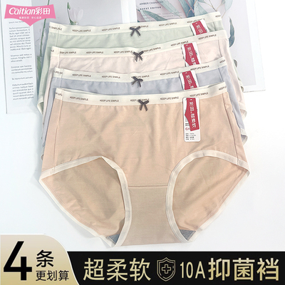 彩田女内裤莫代尔舒适柔软透气15372中腰可爱蝴蝶结石墨烯抗菌档
