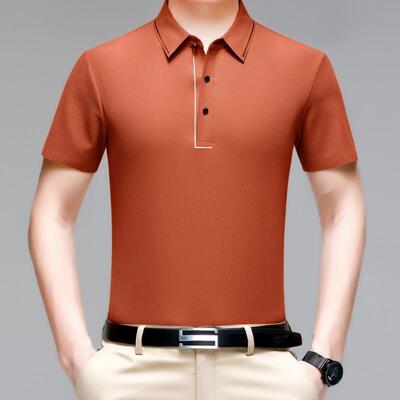 夏59070-X季新款男装舒适透袖气桑百蚕丝衫年男士休闲中搭短恤