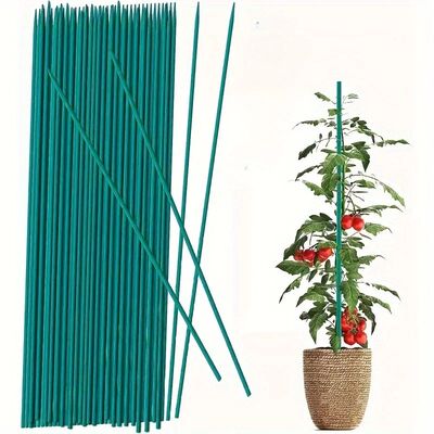10pcs Sturdy Plant Stakes for Robust Plant Support and Indoo