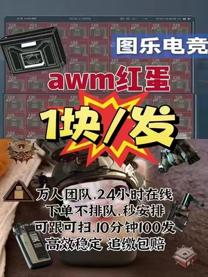 三角洲行动AW子弹1元1发