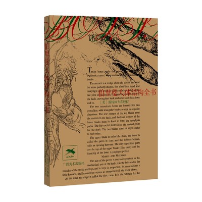 伯里曼人体结构全书绘画