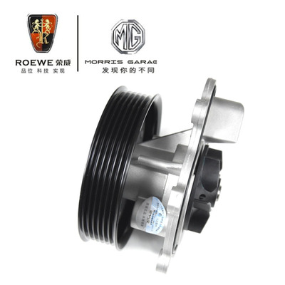 荣威RX5发动水泵1111