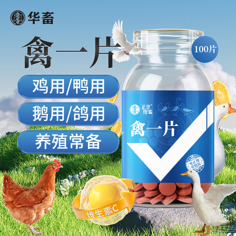 华畜禽一片鸡鸭鹅四季常备厂家直销正品禽类养殖畜牧饲料添加剂S