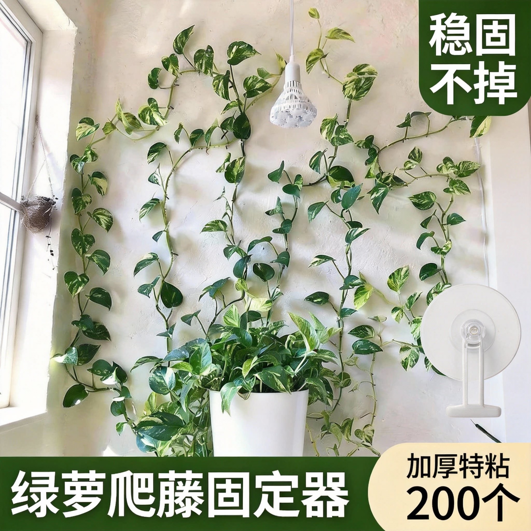 绿萝爬藤固定器不伤墙月季藤蔓爬墙神器绿植攀爬架夹子无痕小挂钩