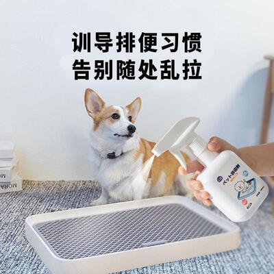 Pet inducer for targeted defecation