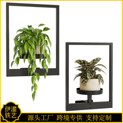 Wall mounted plant rack, wall mounted flower pot, indoor an