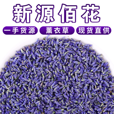 Xinjiang Yili Lavender Bulk New Goods Vanilla Dried Flower