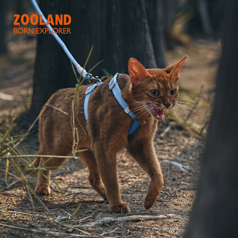 ZOOLAND猫咪牵引绳套装防挣脱不勒脖遛小猫工字型可调节胸背