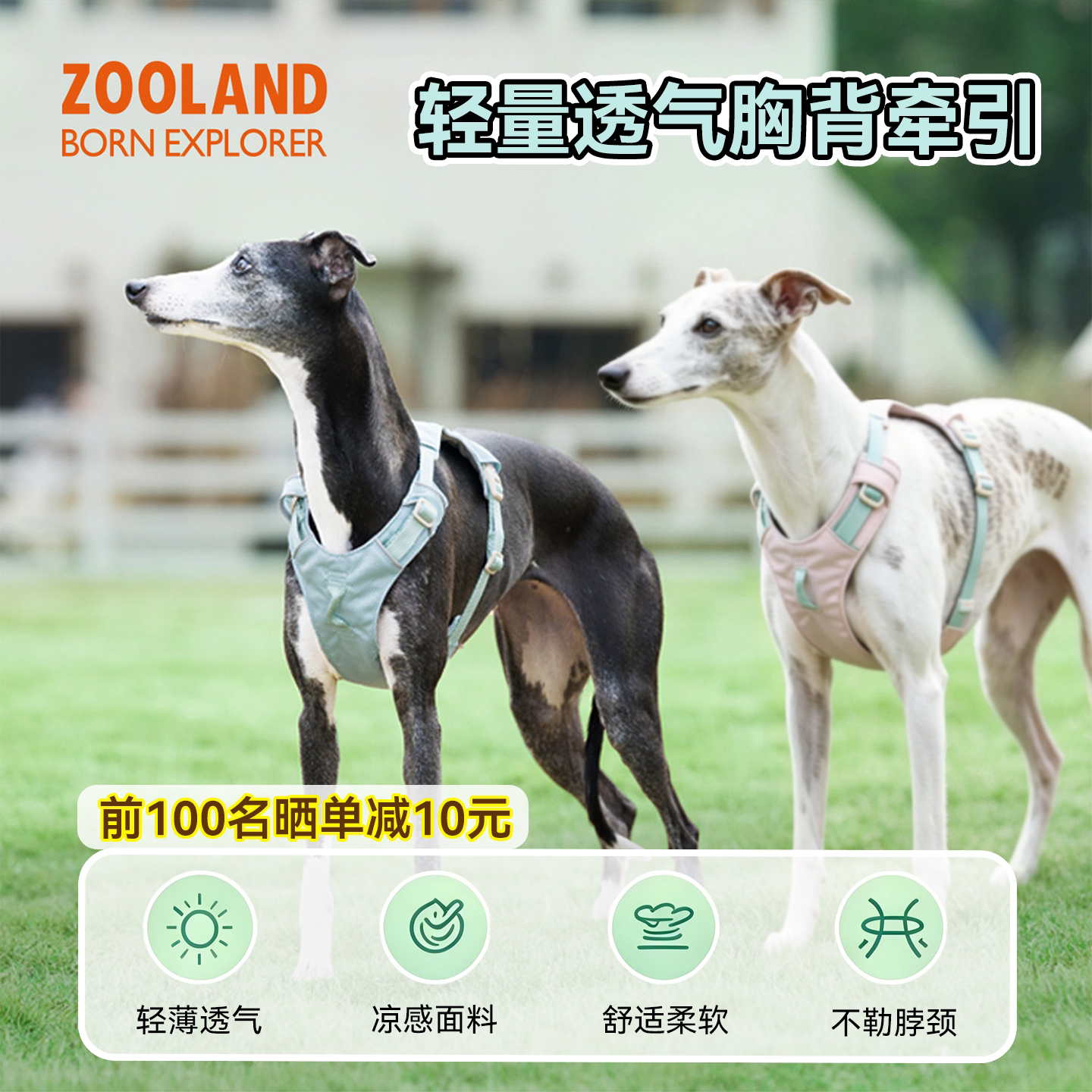 ZOOLAND狗狗胸背带牵引绳工字遛狗小中大型犬防爆冲挣脱宠物背心