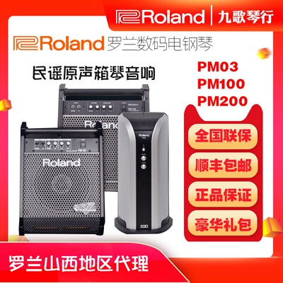Roland/罗兰PM03 PM100 PM200 电鼓音箱PM-100电子鼓监听伴奏音响