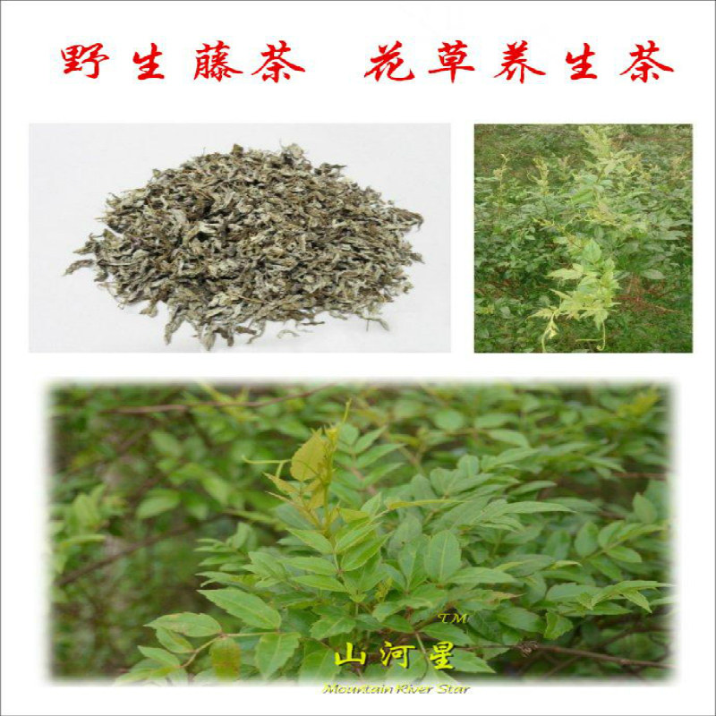 生态白茶藤茶莓茶霉茶甘露客家野花草养生茶显齿蛇葡萄树叶100克
