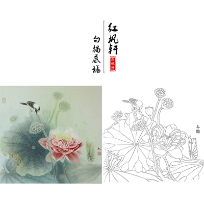 工笔画白描底稿小民花鸟相望