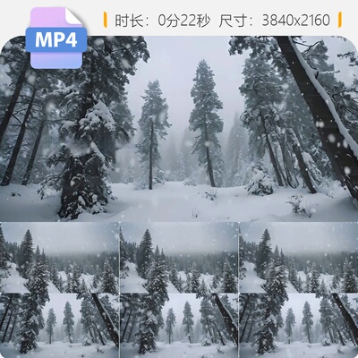 高清森林大雪下松景冬季天鹅毛纷飞花寒冷地背暴树飘视频素材