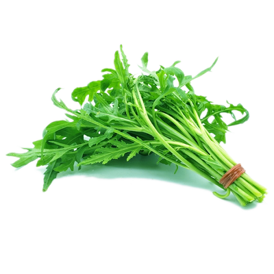 【蓝牌】新鲜芝麻菜蔬菜