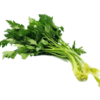 【蓝牌】意大利芹西餐欧芹