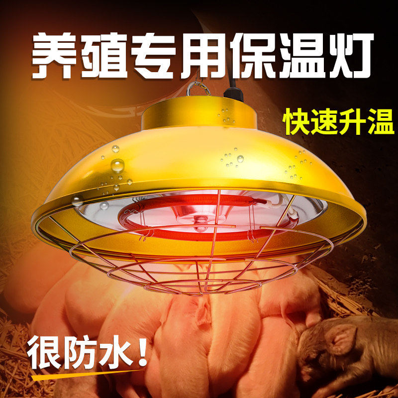 保温灯养殖场专用可调温度兽用取暖灯罩猪用小鸡育雏仔猪防水卤素