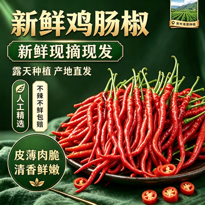 现摘新鲜鸡肠椒红辣椒薄皮农家自种当季中辣红辣椒土辣椒