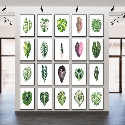 MILE ART宜家风格组合画艺术小众海报北欧热带植物清新装饰画画芯