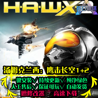 汤姆克兰西鹰击长空1/2STG射击FPS战争硬核PC电脑单机游戏合集