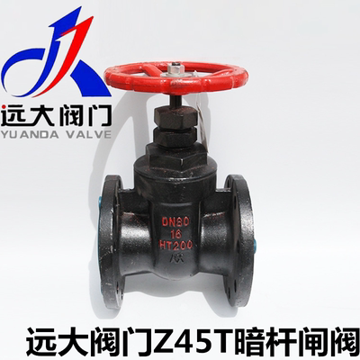 河北远大闸阀 Z45T-16铸铁法兰中部丝扣暗杆闸阀DN25-DN200