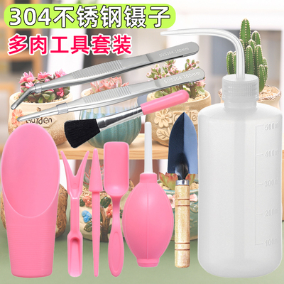 304不锈钢镊子多肉工具套装