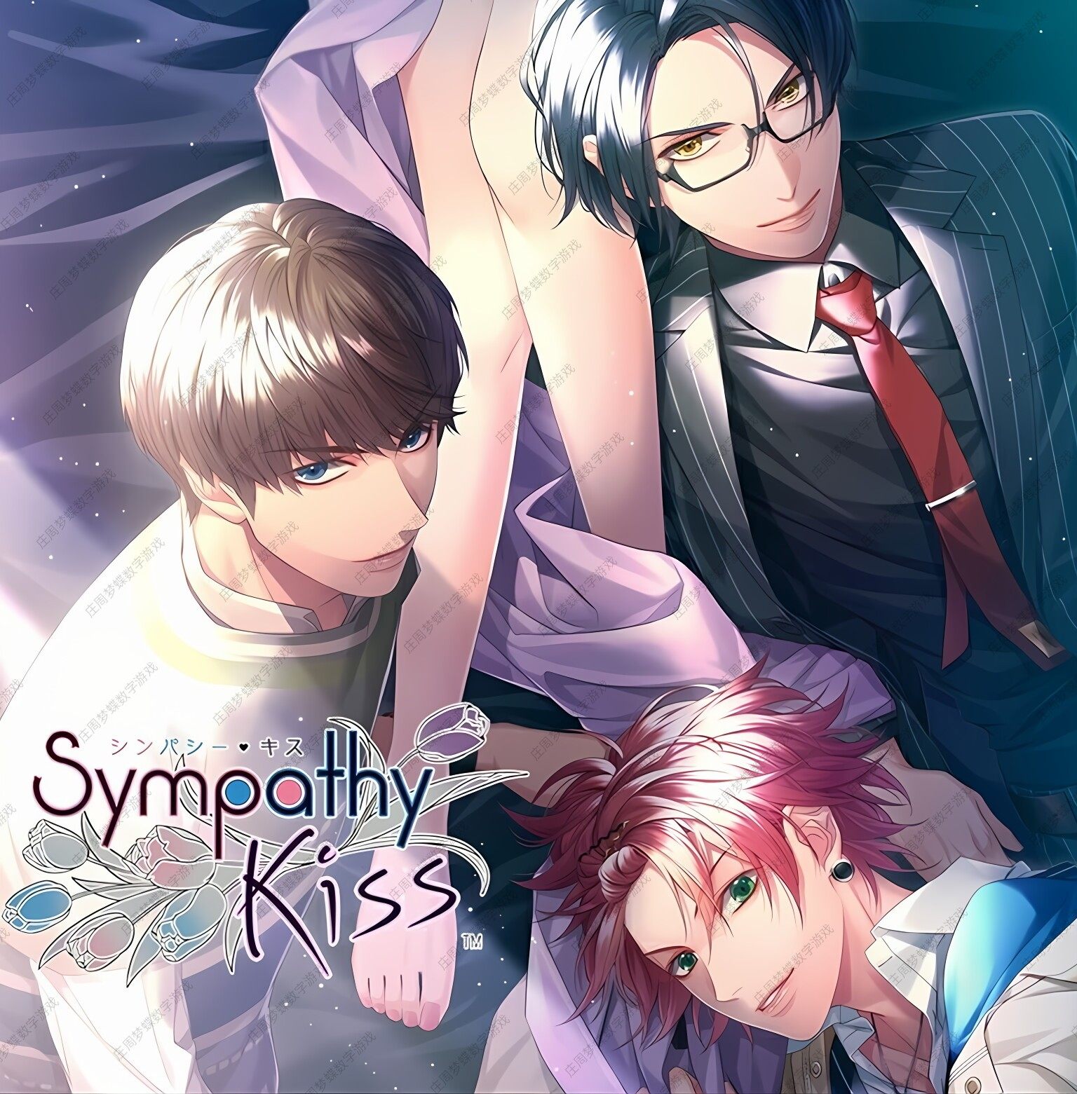 SympathyKiss 共鸣之吻 中文 下载 任天堂switch游戏NS下载