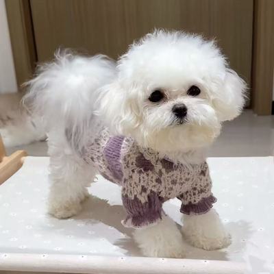 狗狗毛衣秋冬款宠物泰迪比熊中小型犬猫咪雪纳瑞针织小狗洋气衣服