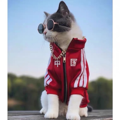 猫咪狗狗潮牌蓝猫布偶衣服春秋款加绒运动服中小型犬防掉毛