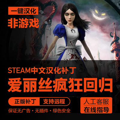 爱丽丝：疯狂回归  简体中文汉化补丁 支持steam  不含游戏