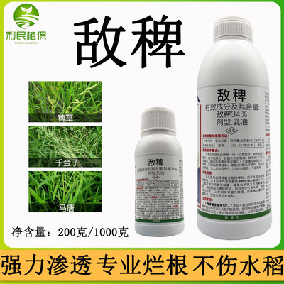 敌稗水稻大龄抗性稗草除草剂