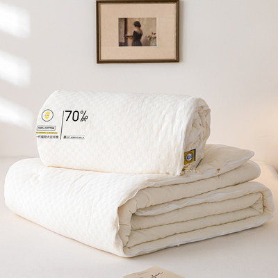 官方补贴A类原棉华夫格70%李官奇大豆纤维被冬被子母被大豆被芯