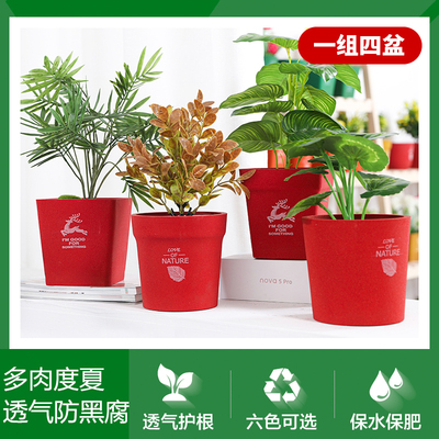 透气花盆1111出口1313简约XTOU养多肉不烂根兰花多孔陶瓷