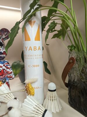 鹚鹄鸭全圆稳定耐打比赛训练