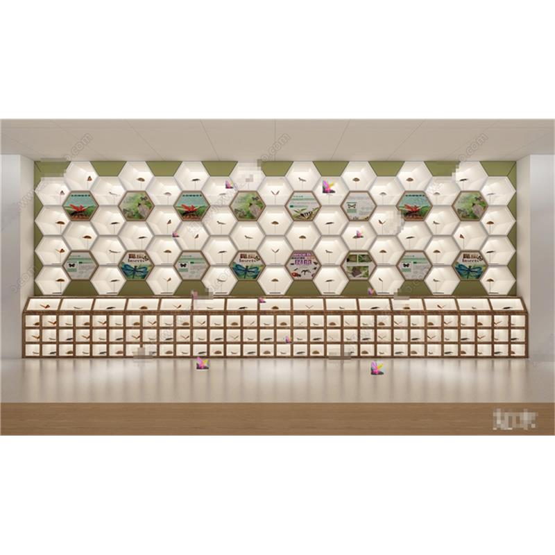 5078现代昆虫动物标本展示柜 展墙 昆虫标本 小动物标本SU模型