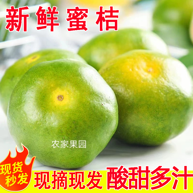 涌泉无籽蜜桔酸甜橘子水果新鲜薄皮现摘酸橘子孕妇绿橘子