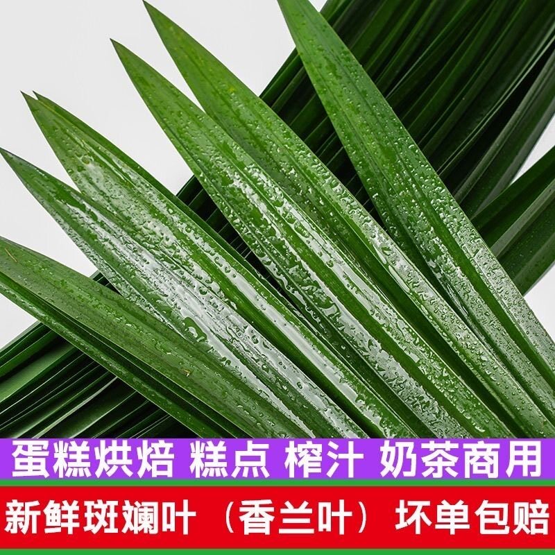 新鲜斑斓叶新鲜香兰叶蛋糕烘焙千层糕斑斓奶茶椰汁西米糕榨汁糕点