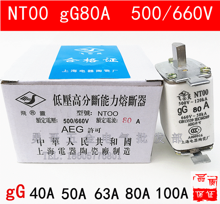 厂家直销低压熔断器NT00 RT16-00 gG80A 100A 125A熔断体 500V