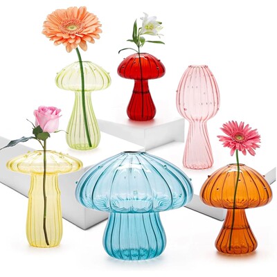 Mushroom Glass Vase Set - Mini Propagation Terrarium for Pla