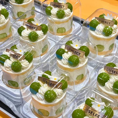 瑞莎新款2英寸蛋糕盒小西点包装